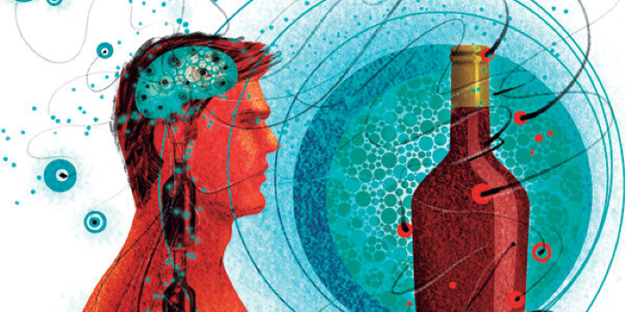 Primicias 24 | Científicos consiguen revertir el deseo de beber en ...